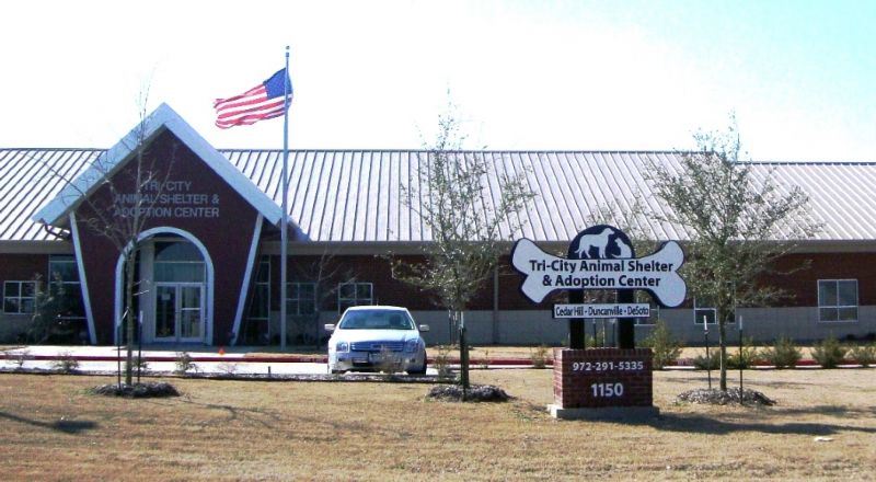 Uplift Elevate Prep School by Modern Contractors in Fort Worth, TX ...