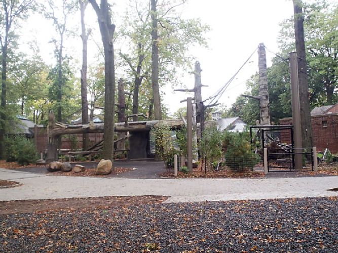 Staten Island Zoo Leopard Exhibit & Carousel by Padilla Construction ...