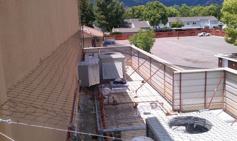 Birds Away / Pigeons Away - Concord, California | ProView