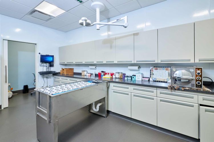 UCSD Thornton Hospital – ICU Renovation by First Mark Contracting, Inc ...