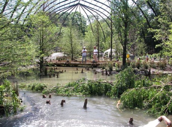 St. Louis Zoo 1904 World's Fair Flight Cage Renovation by Tri Co Constr ...
