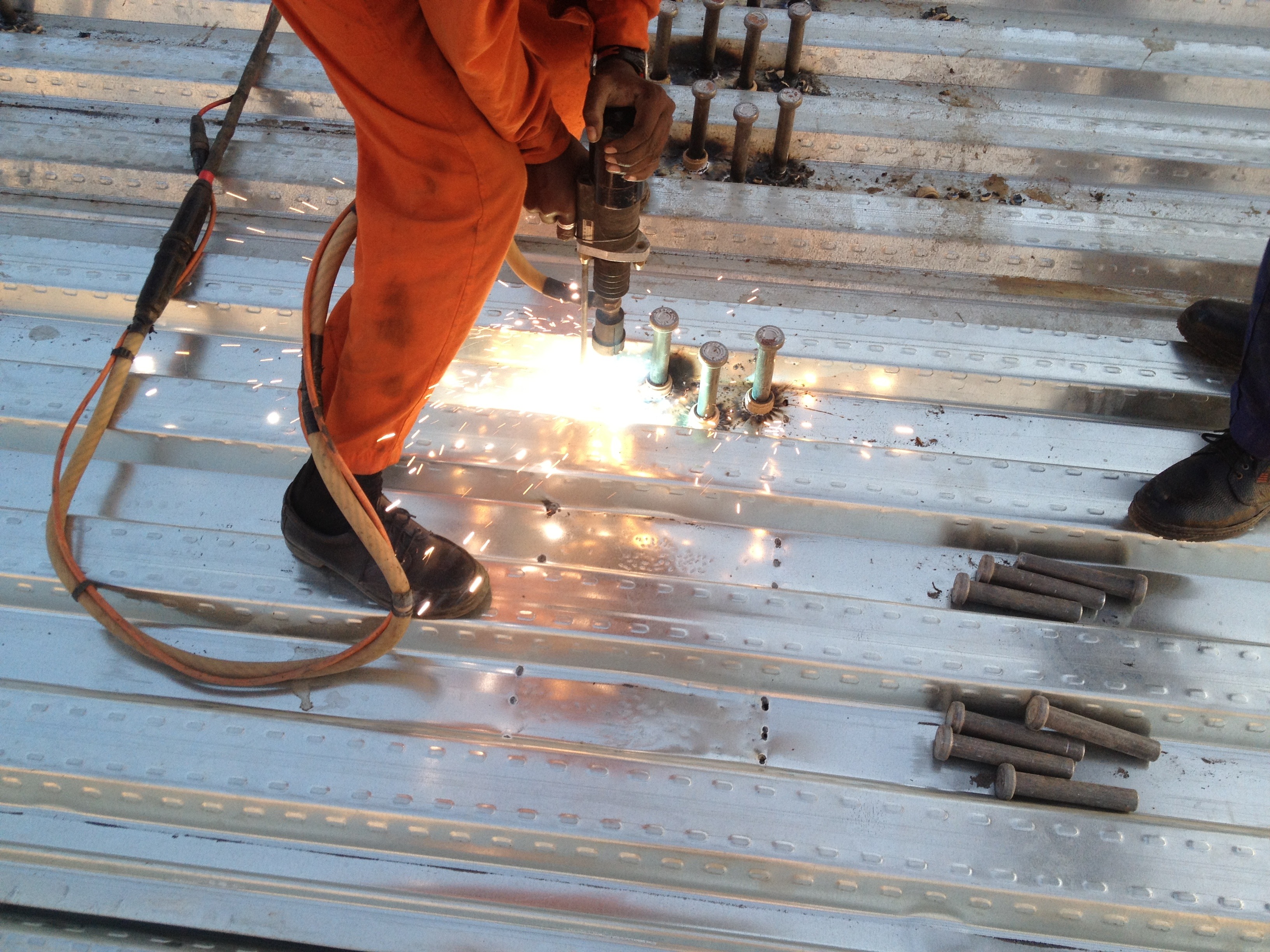 Royal Stud & Anchors - Video & Image Gallery | ProView