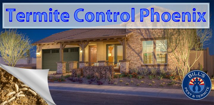 Bill's Pest Termite Control - Phoenix, Arizona | ProView