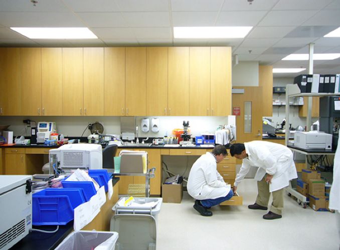 LabCorp by Ferris/Turney Gen. Contrs., Inc. in , WA | ProView