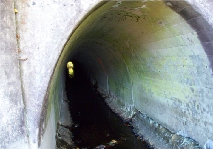 Rapallo Viaduct by New England Infrastructure, Inc. in , MA | ProView