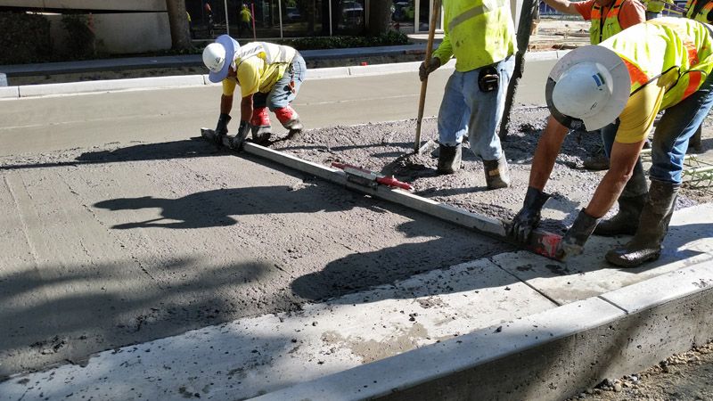 Rattle Stick - Video & Image Gallery | ProView