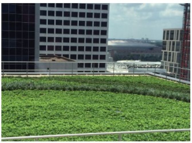 Carlisle CCW/Columbia Green Intensive Green Roof- Plaza Deck by ...