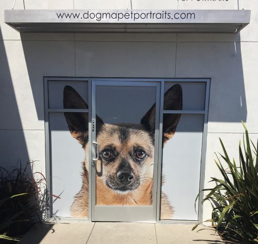 Storefront Branding for Dogma Pet Portraits by Mpressions in Newport ...