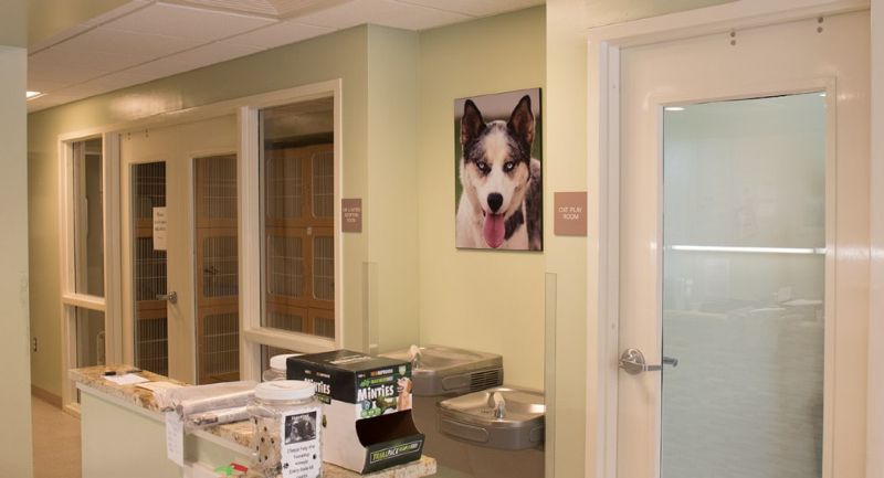 Natchez-Adams County Animal Shelter by Morton Buildings, Inc. in ...