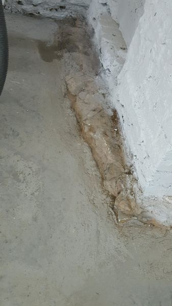 Falcone Landscape & Constr. - Staten Island, New York | ProView