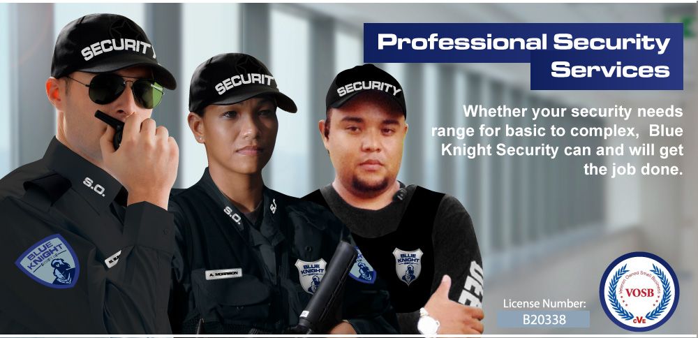 Blue Knight Security LLC - Houston, Texas | ProView
