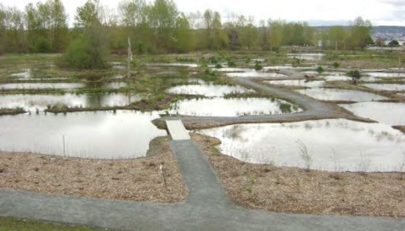 Magnuson Park by Ohno Construction Co. in , CA | ProView