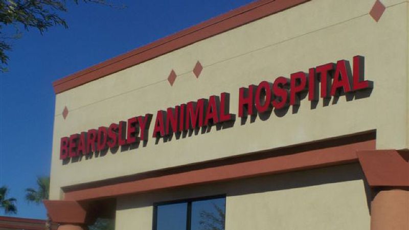 Thunderbird Plaza by Pearson's Signs in , AZ | ProView