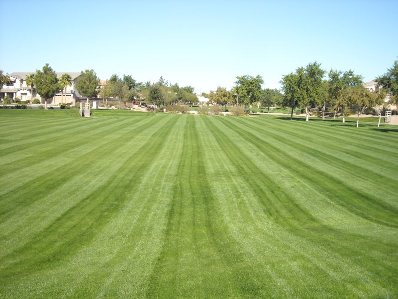 BrightView Holdings, Inc. - Video & Image Gallery | ProView