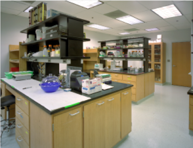 Emory Lab Five Forks Trickum at Alfred Wilford blog