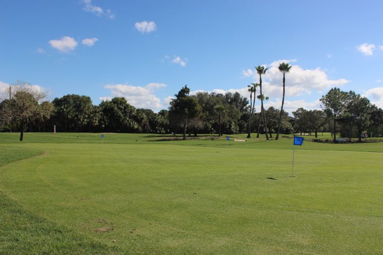 Twin Brooks Golf Course Design-Build by LEMA Construction in St ...