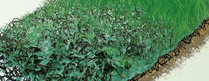 N&S Equipment Rental & Contractor Supply (DBE, MBE) - Video & Image ...