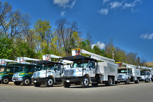 Northern Tree Service, Inc. - Palmer, Massachusetts | ProView
