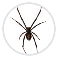 Sexton Pest Control, Inc. - Video & Image Gallery | ProView