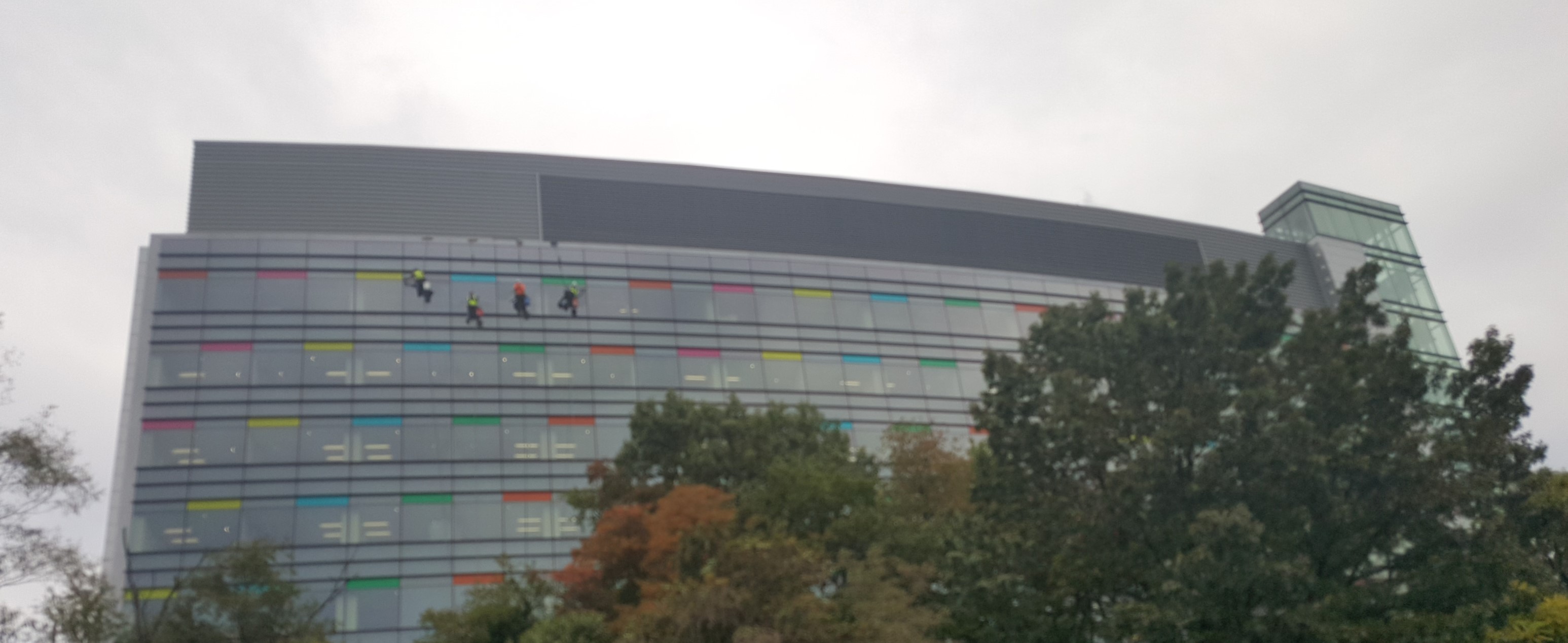 DGC Cleaning Services LLC - Washington, District Of Columbia | ProView