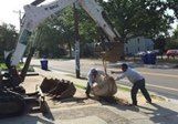 Moldenhauer Landscaping, Inc. - Chapel Hill, North Carolina | ProView